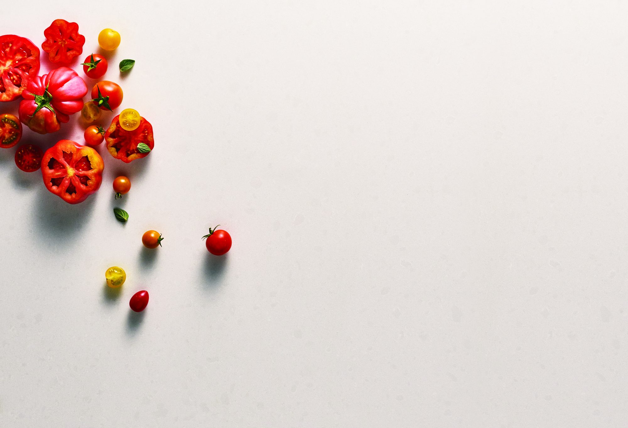 Pierredeplan | EASYQUARTZ